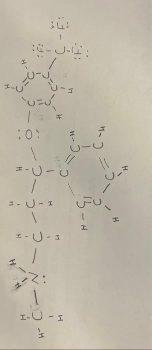 Solved find the four major functional groups on Fluoxetine | Chegg.com
