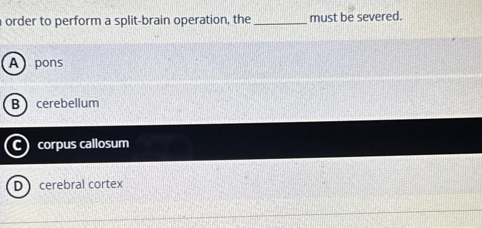 Solved order to perform a split-brain operation, the must be | Chegg.com