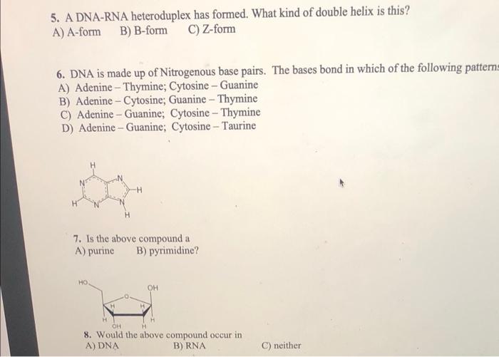 Solved 5. A DNA-RNA heteroduplex has formed. What kind of | Chegg.com