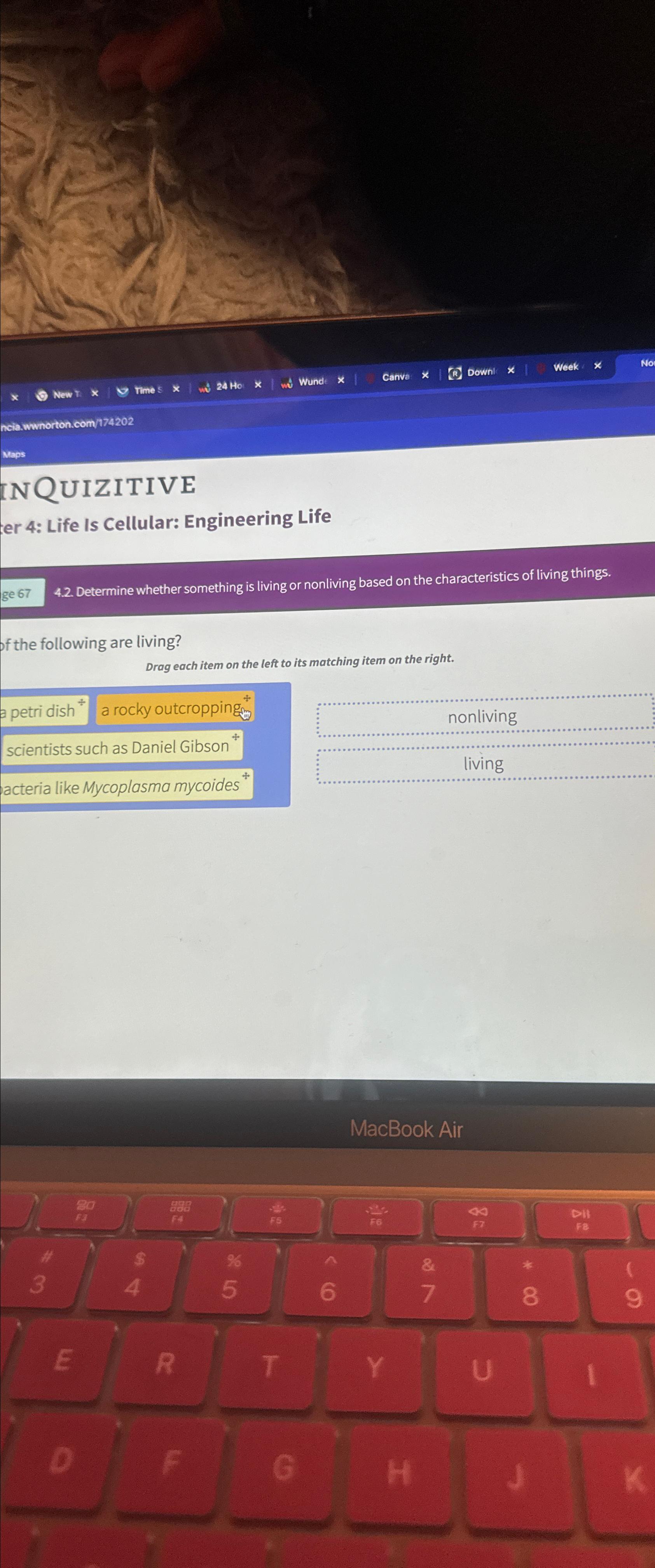 Solved INQUIZITIVEer 4: Life Is Cellular: Engineering | Chegg.com