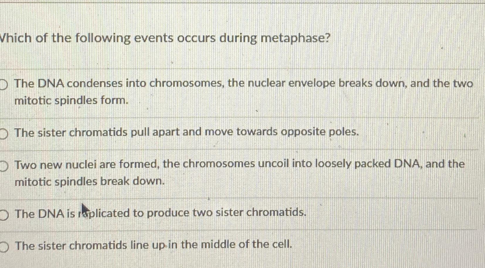 Solved Vhich of the following events occurs during | Chegg.com