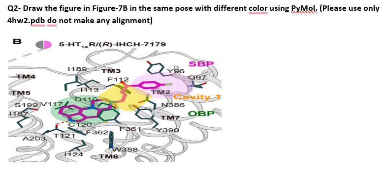 Solved Can you explain how to do this question step by step | Chegg.com