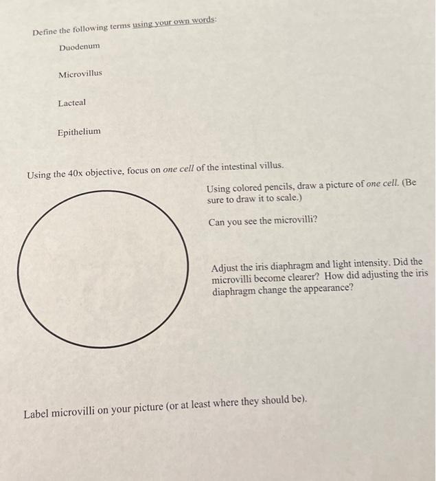 Solved Frog intestine - Prepared Slide A vilus (pl. villi) | Chegg.com