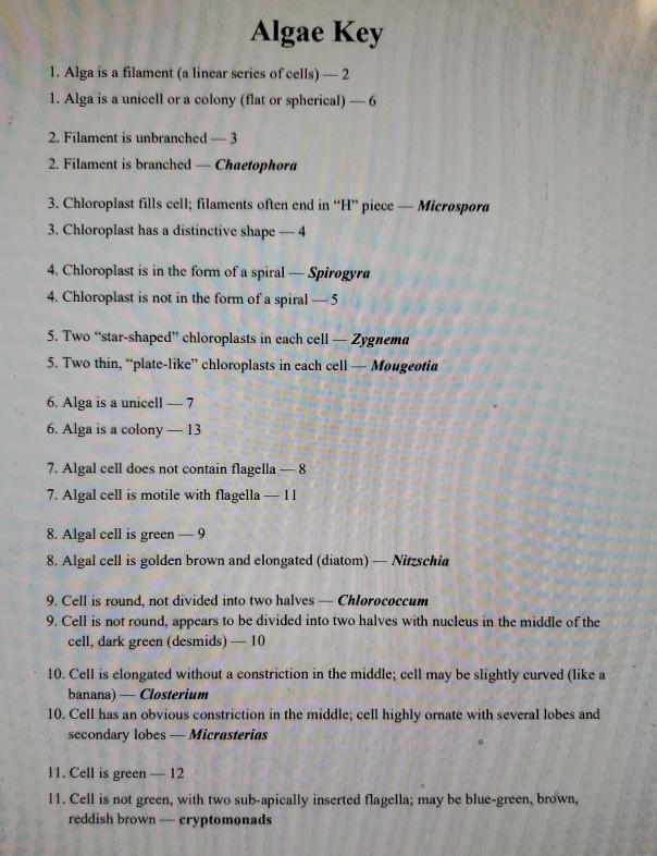 Solved Question 1 1 pts Key out this alga: Note: Be sure to | Chegg.com