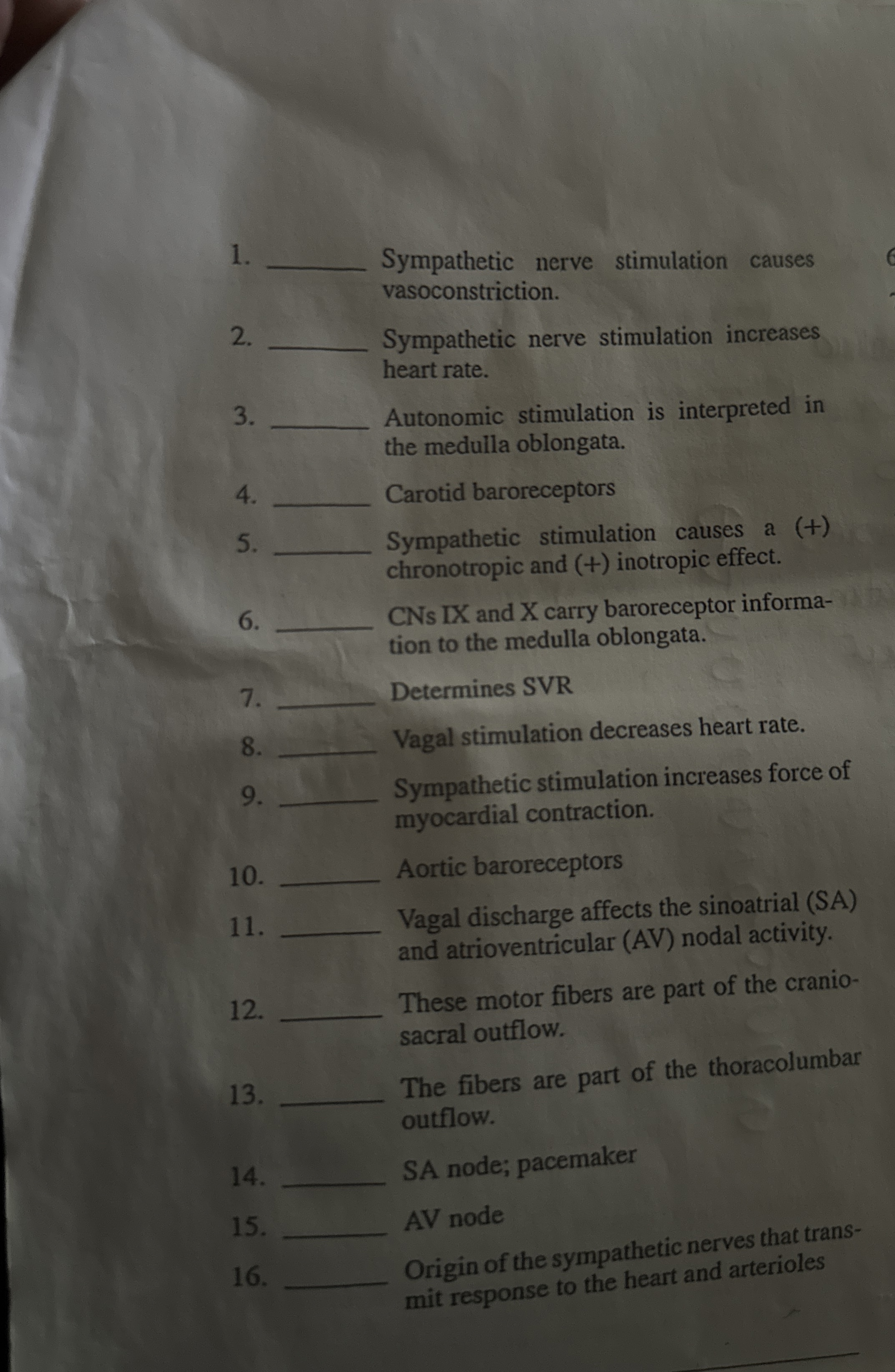 Solved ﻿Sympathetic nerve stimulation causes | Chegg.com