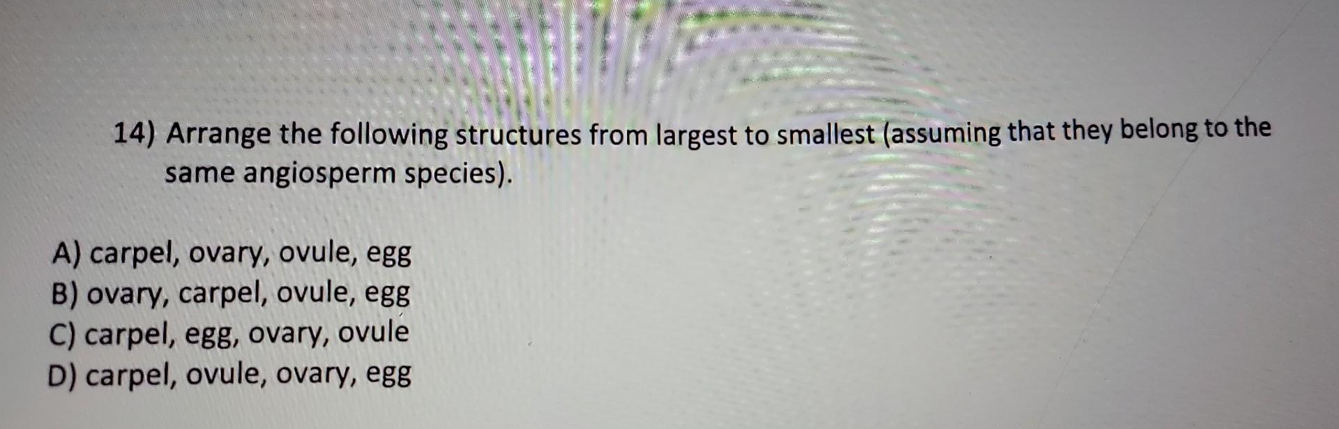 Solved 14) Arrange the following structures from largest to | Chegg.com