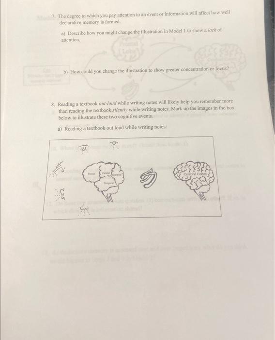 Solved Why? Long-term memory is divided into declarative | Chegg.com