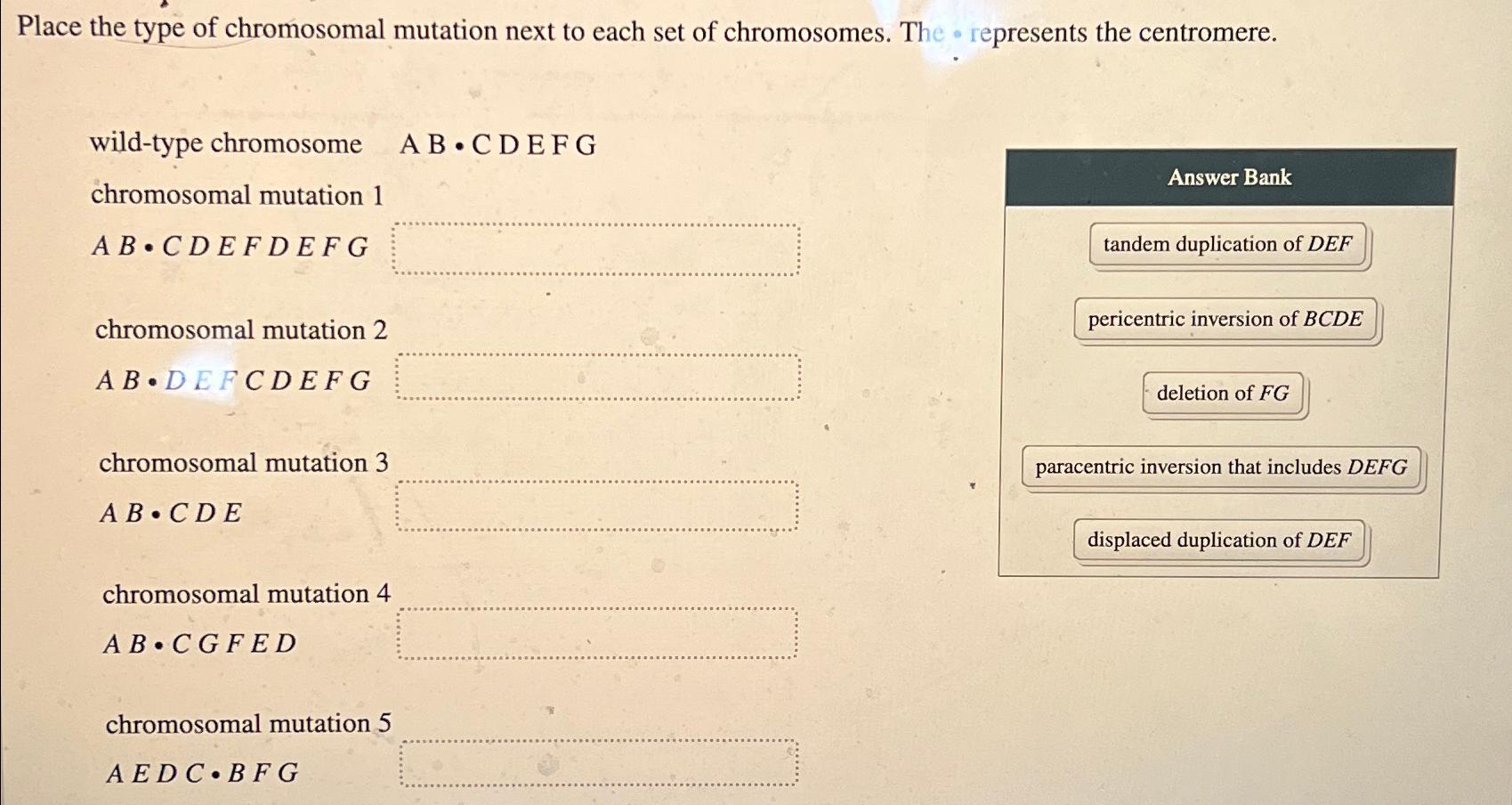 Solved Place the type of chromosomal mutation next to each | Chegg.com