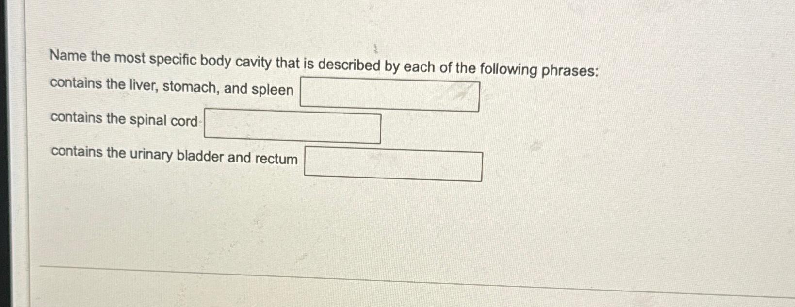 Solved Name the most specific body cavity that is described | Chegg.com