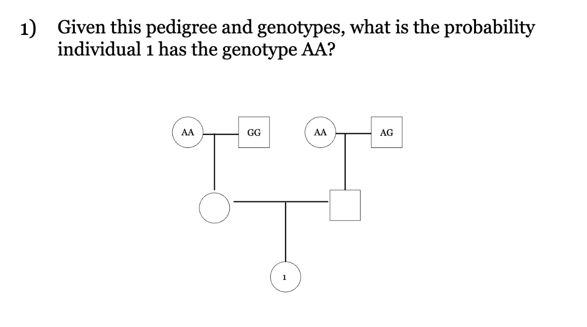 Solved 1) ﻿Given this pedigree and genotypes, what is the | Chegg.com