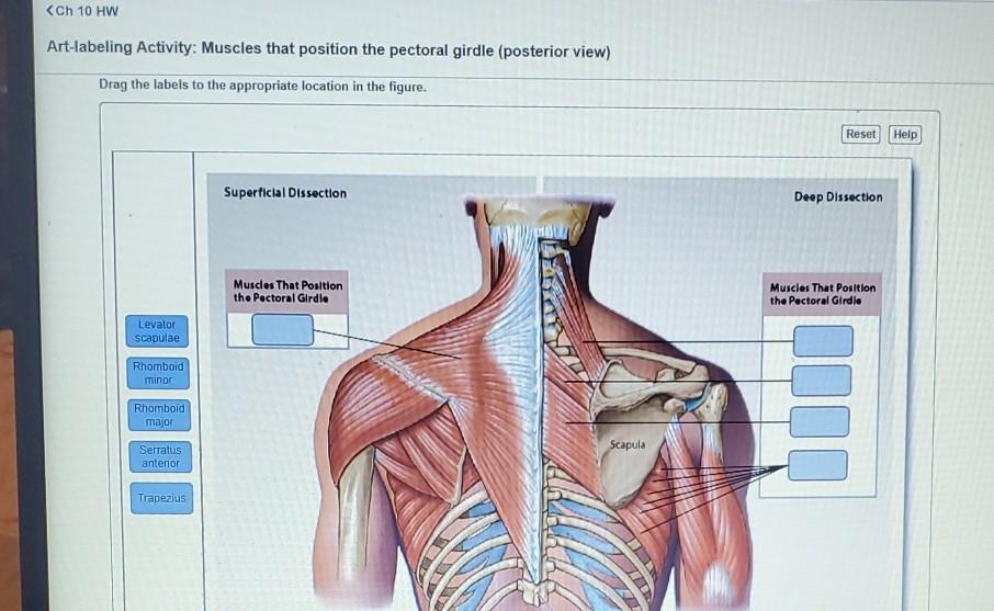 Solved Question | Chegg.com