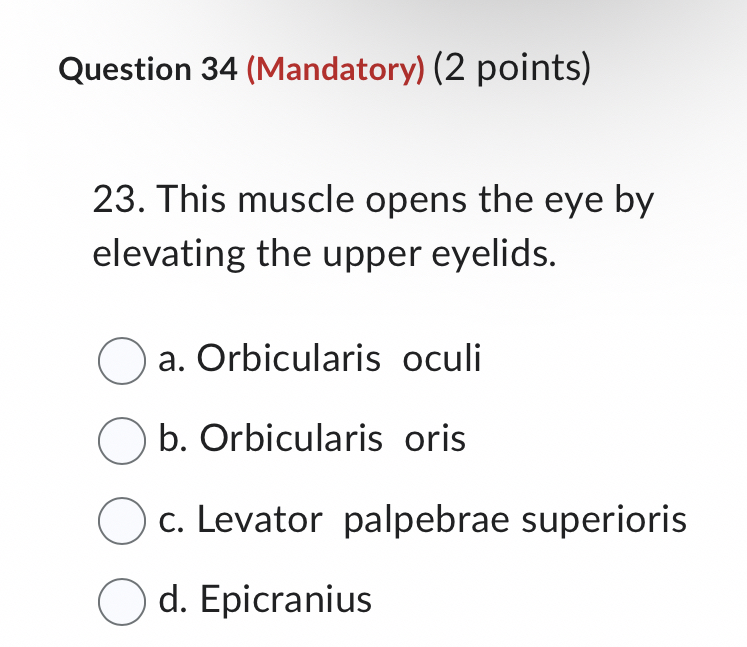 Solved Question 34 (Mandatory) (2 ﻿points)23. ﻿This muscle | Chegg.com