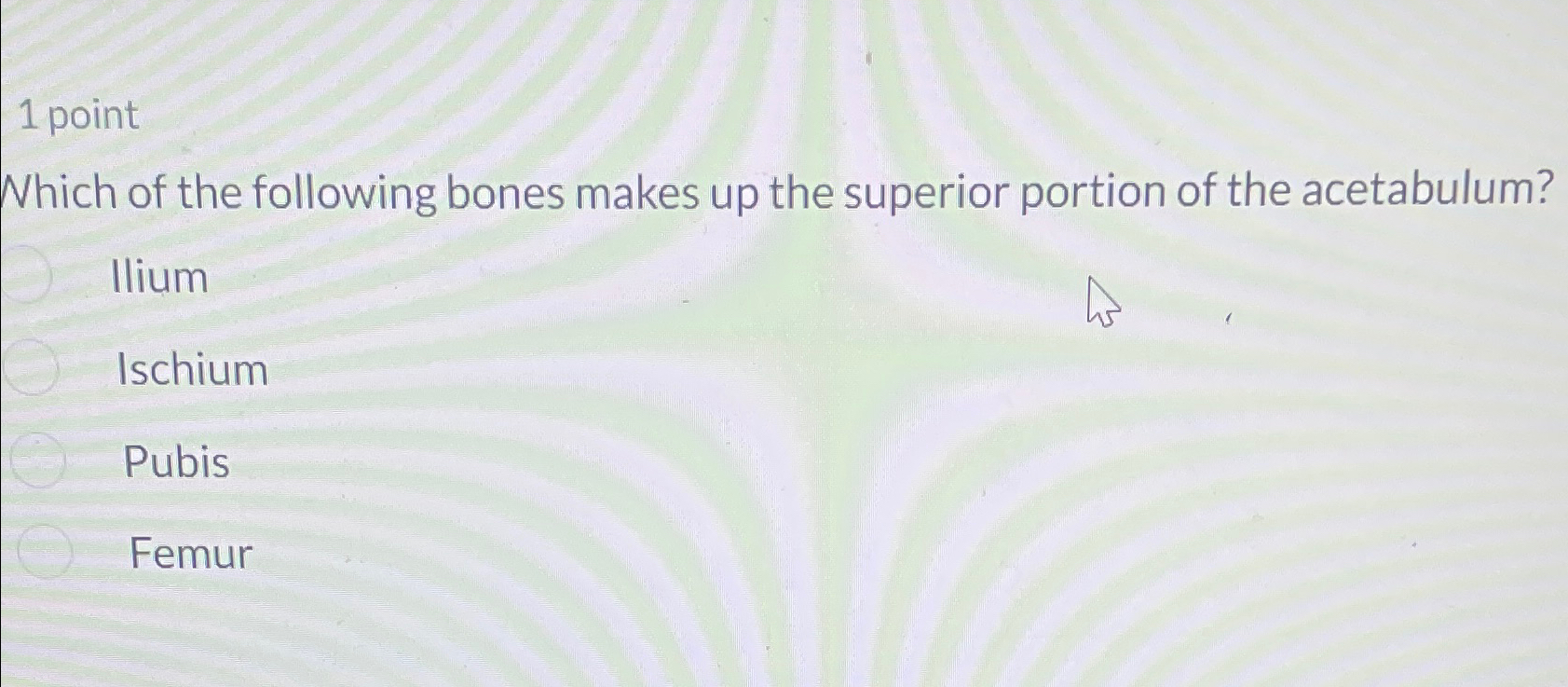 Solved 1 ﻿pointWhich of the following bones makes up the | Chegg.com