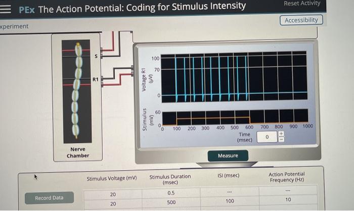 Solved Reset Activity PEx The Action Potential: Coding for | Chegg.com