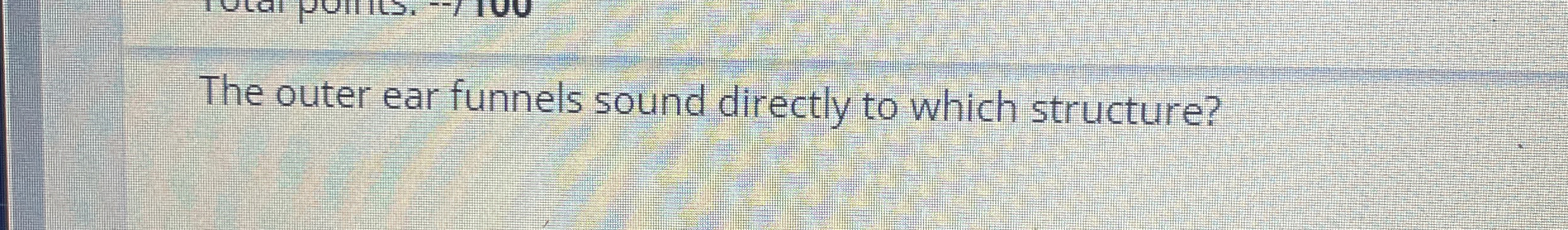 Solved The outer ear funnels sound directly to which | Chegg.com