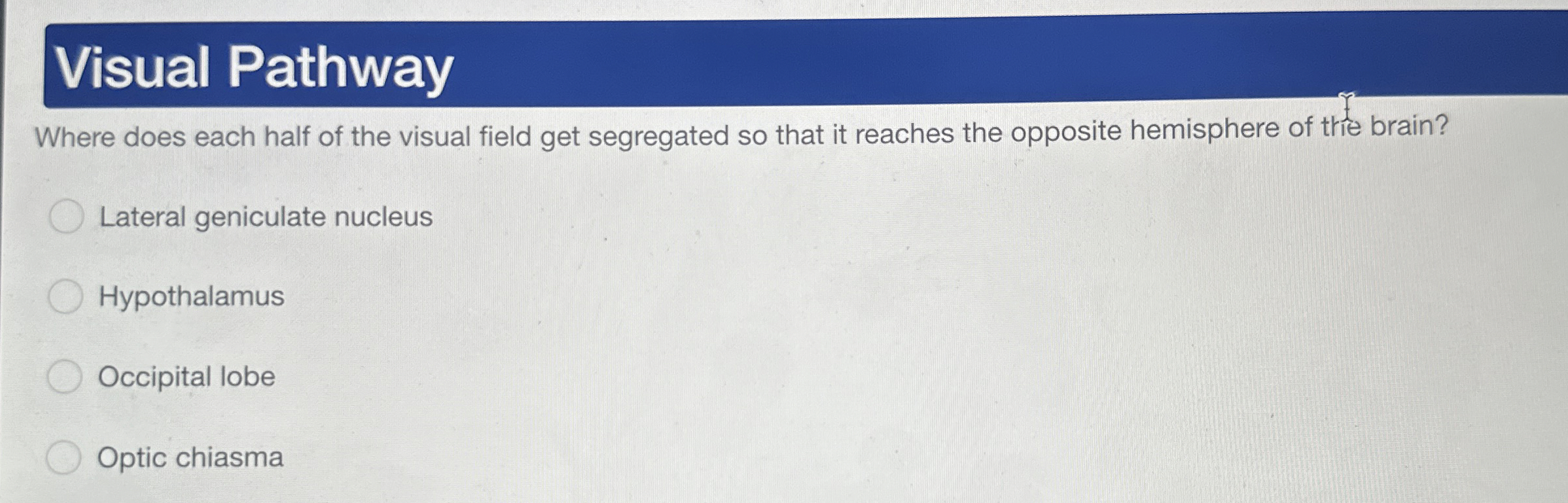Visual PathwayWhere does each half of the visual | Chegg.com