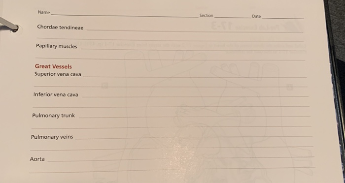 Solved PRE-LAB EXERCISES Complete the following exercises | Chegg.com