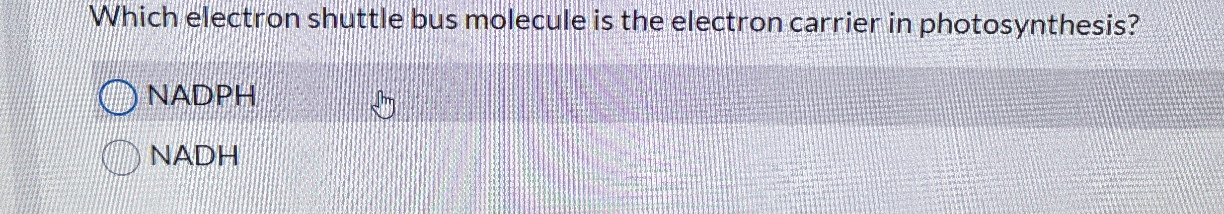 Solved Which electron shuttle bus molecule is the electron | Chegg.com