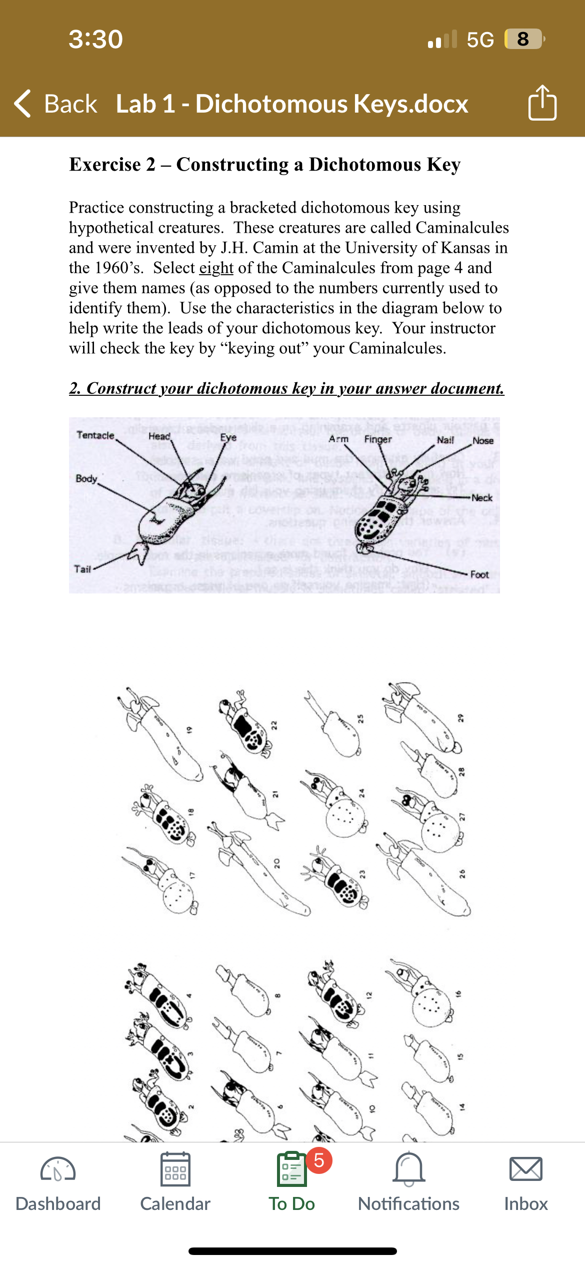 Solved Exercise 2 - ﻿Constructing a Dichotomous KeyPractice | Chegg.com