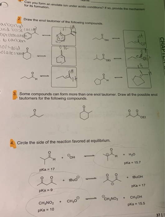 Solved can you form an enolate ion under acidic conditions? | Chegg.com