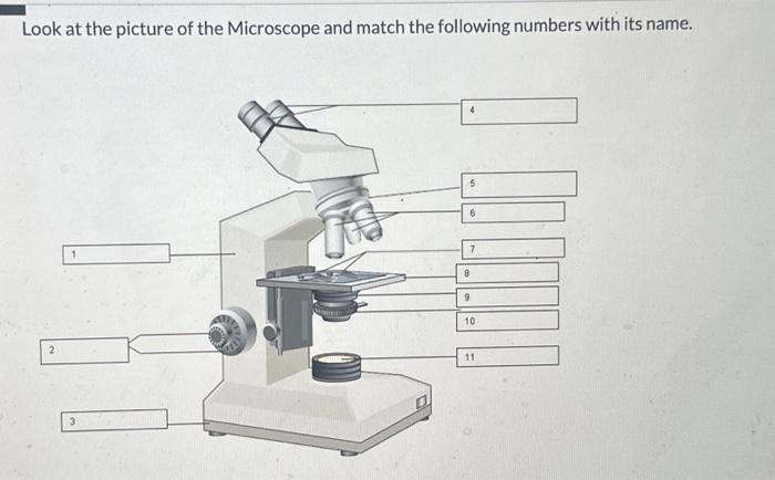 Solved Look at the picture of the Microscope and match the | Chegg.com