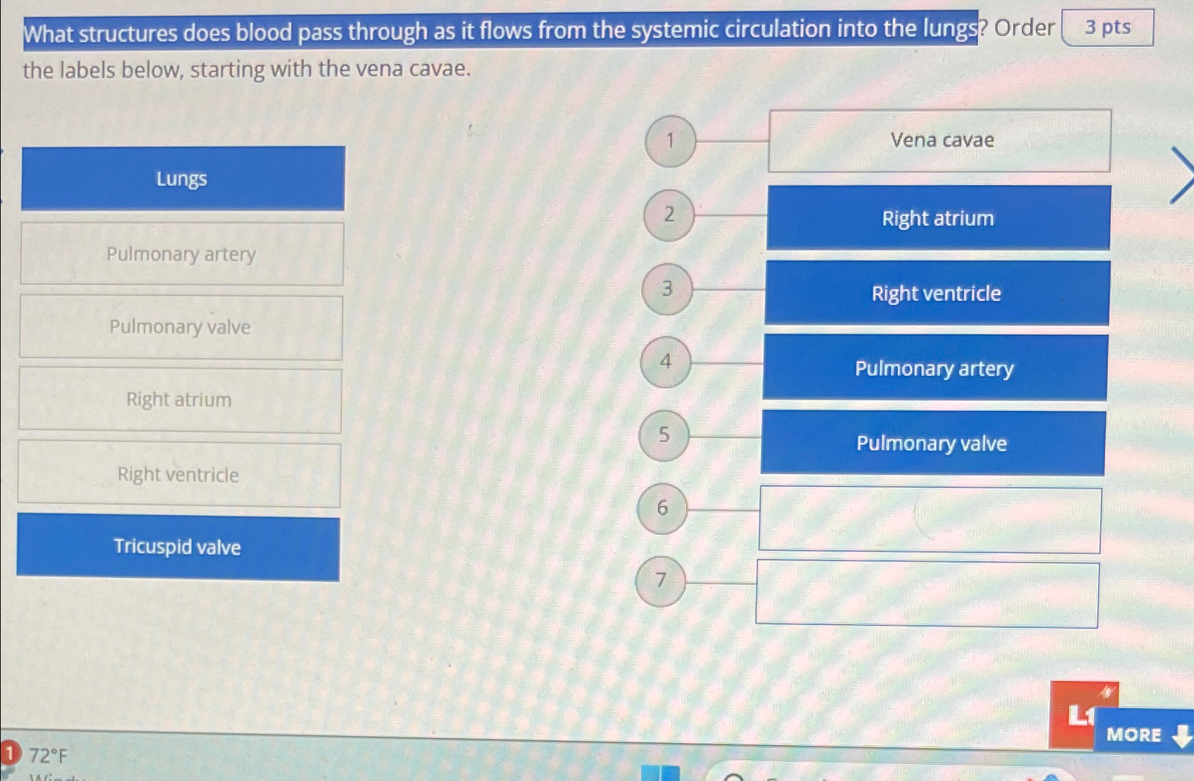 Solved What structures does blood pass through as it flows | Chegg.com