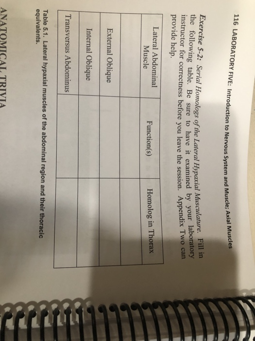 Solved Exercise 5-2: Serial Homologs of the Lateral Hypaxial | Chegg.com