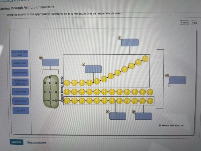 Chapter 03 arning through Art: Lipid Structure Drag | Chegg.com