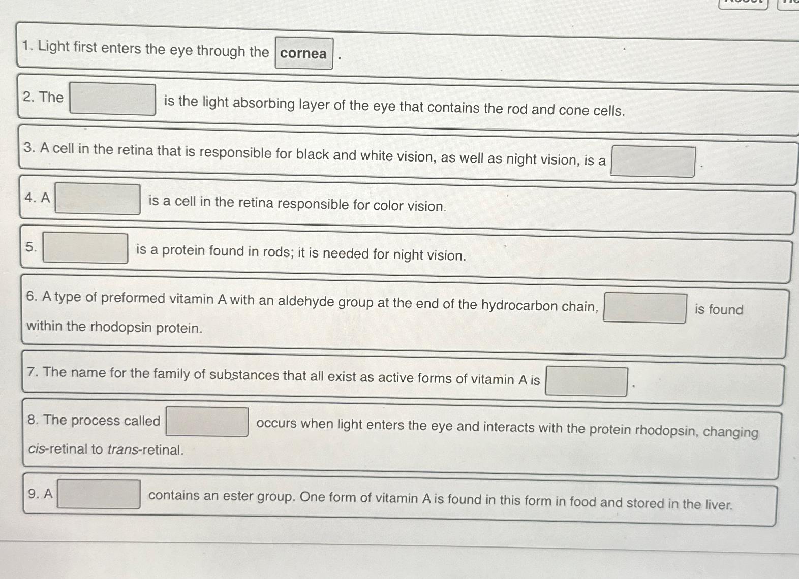 Solved Light first enters the eye through the corneaThe is | Chegg.com