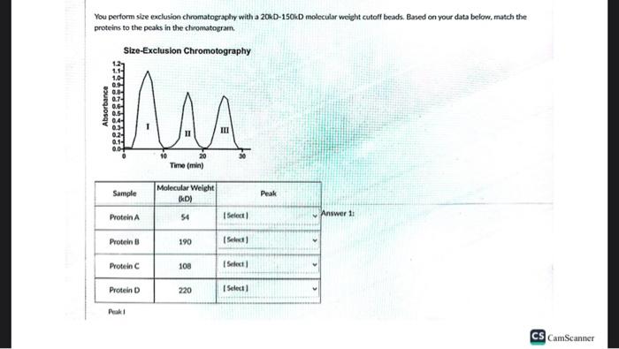 Solved You perform ske exclusion chromatography with a | Chegg.com