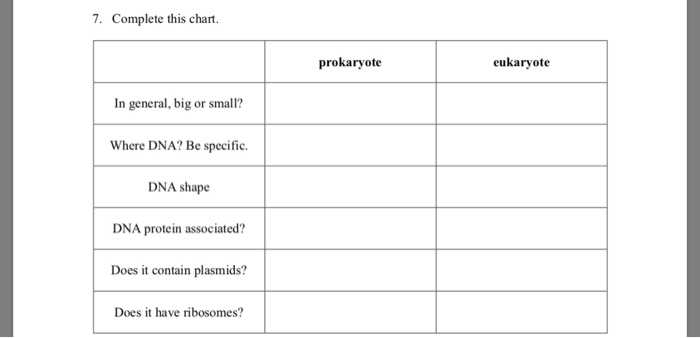 Solved 7. Complete this chart prokaryote eukaryote In | Chegg.com