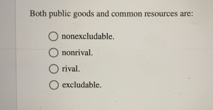 Solved A good is excludable if: it is Wi-Fi or a similar | Chegg.com