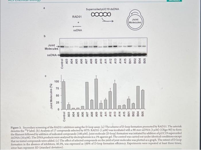 Solved 4. The following questions are about the D-loop | Chegg.com