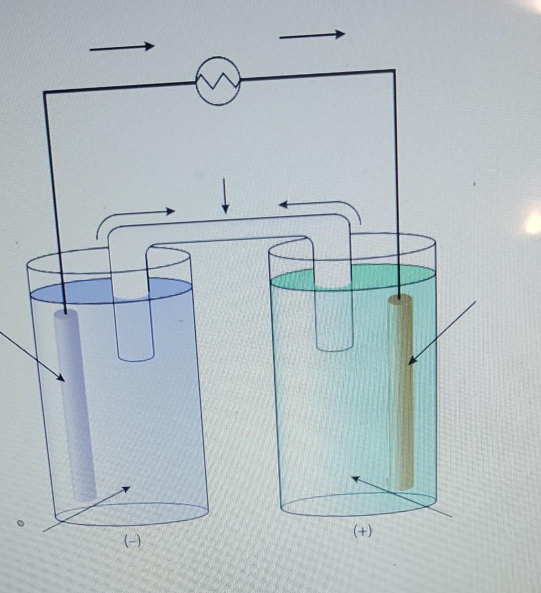 Solved SCH4C Unit 5: Electrochemistry Label a Galvanic Cell | Chegg.com