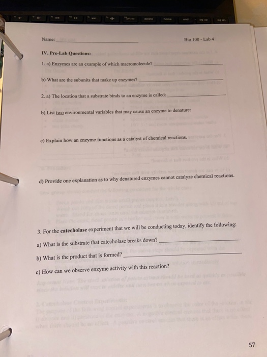 Solved Name: Bio 100 - Lab 4 IV. Pre-Lab Questions: 1. a) | Chegg.com Solved Name: Bio 100 - Lab 4 IV. Pre-Lab Questions: 1. a) | Chegg.com