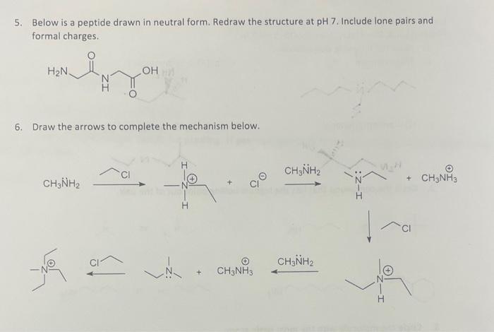 Solved 5. Below is a peptide drawn in neutral form. Redraw | Chegg.com