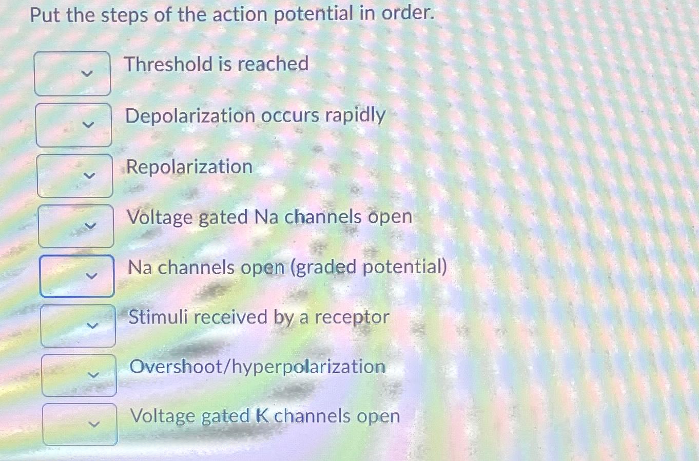 Solved Put the steps of the action potential in | Chegg.com