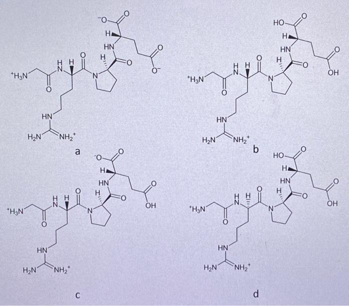 Solved HO HN H HN HN O IZ T! H 'N +H₃N OH *H3N HN HN H2N NH2 | Chegg.com