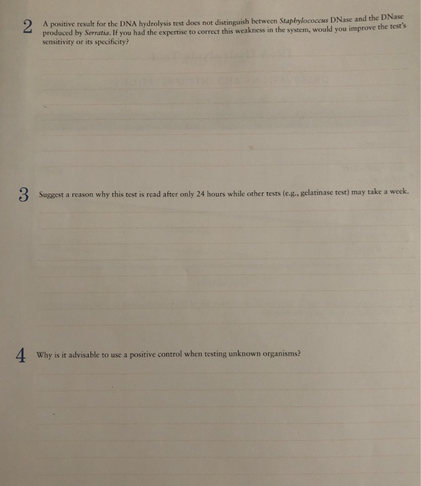 Solved A positive result for the DNA hydrolysis test does | Chegg.com