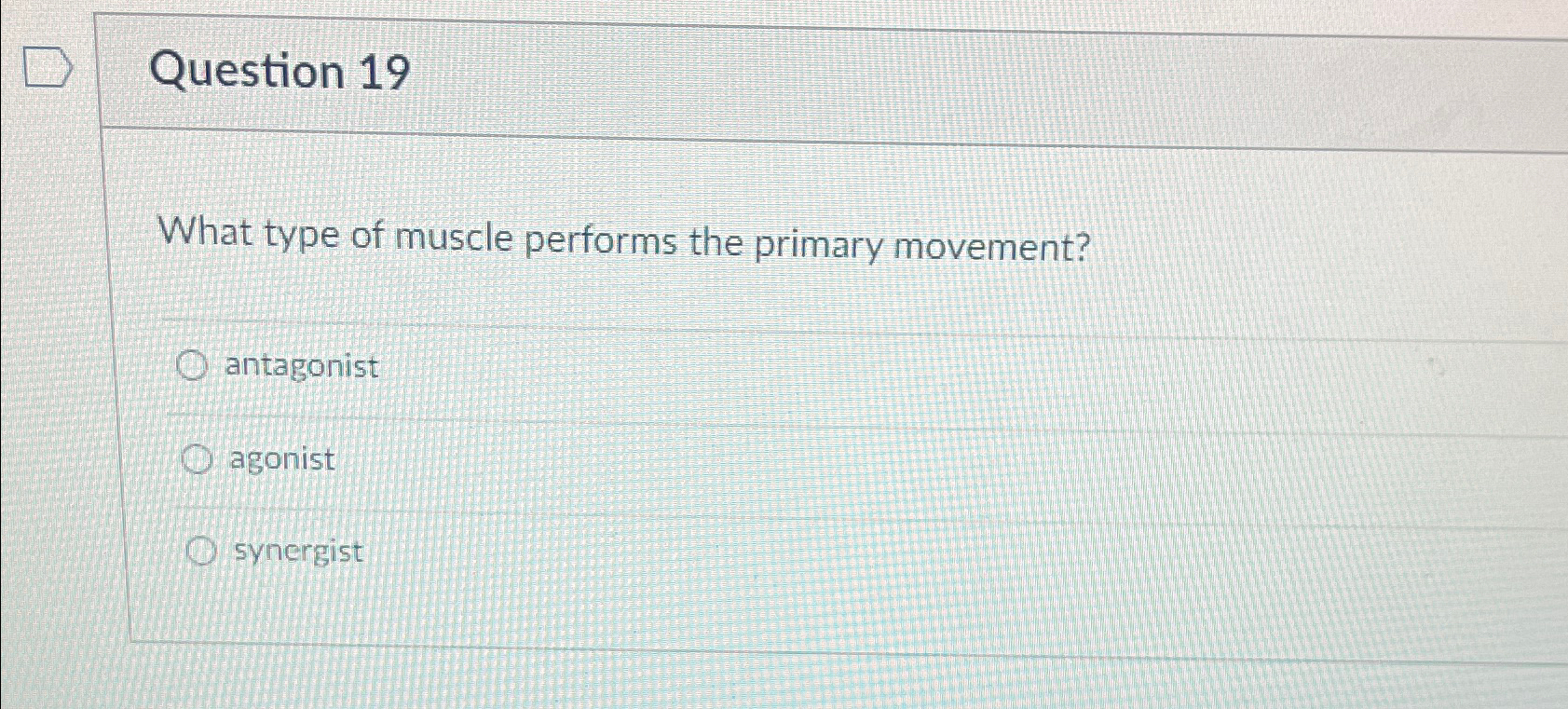 Solved Question 19What type of muscle performs the primary | Chegg.com