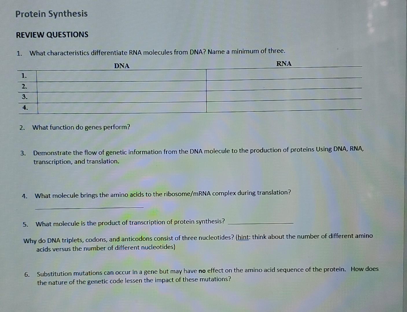 Solved Protein Synthesis REVIEW QUESTIONS 1. What | Chegg.com
