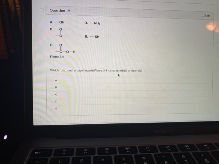 Solved Question 19 1.5 pts A. -OH C. -COH Figure 3.4 Which | Chegg.com