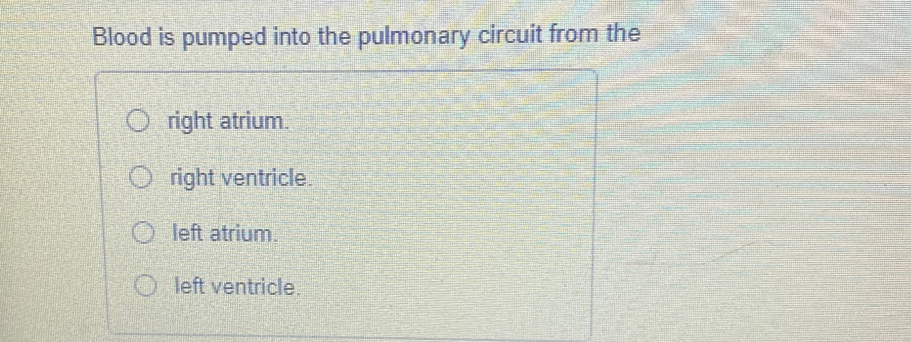 Solved Blood is pumped into the pulmonary circuit from | Chegg.com