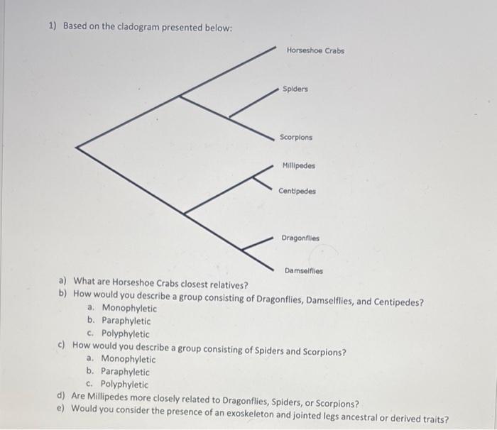 Solved 1) Based on the cladogram presented below: a) wvat | Chegg.com