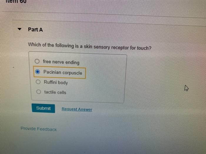 Solved Part A Which of the following is a skin sensory | Chegg.com
