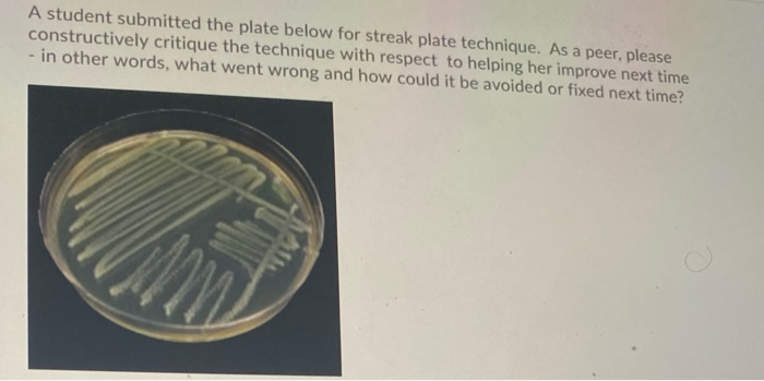 Solved A student submitted the plate below for streak plate | Chegg.com