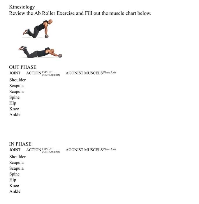 Solved Kinesiology Review the Ab Roller Exercise and Fill | Chegg.com