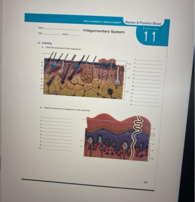 Solved How avai Mosi AP Review & Practice Sheet Exercise | Chegg.com