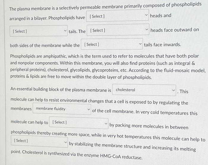 Solved The plasma membrane is a selectively permeable | Chegg.com