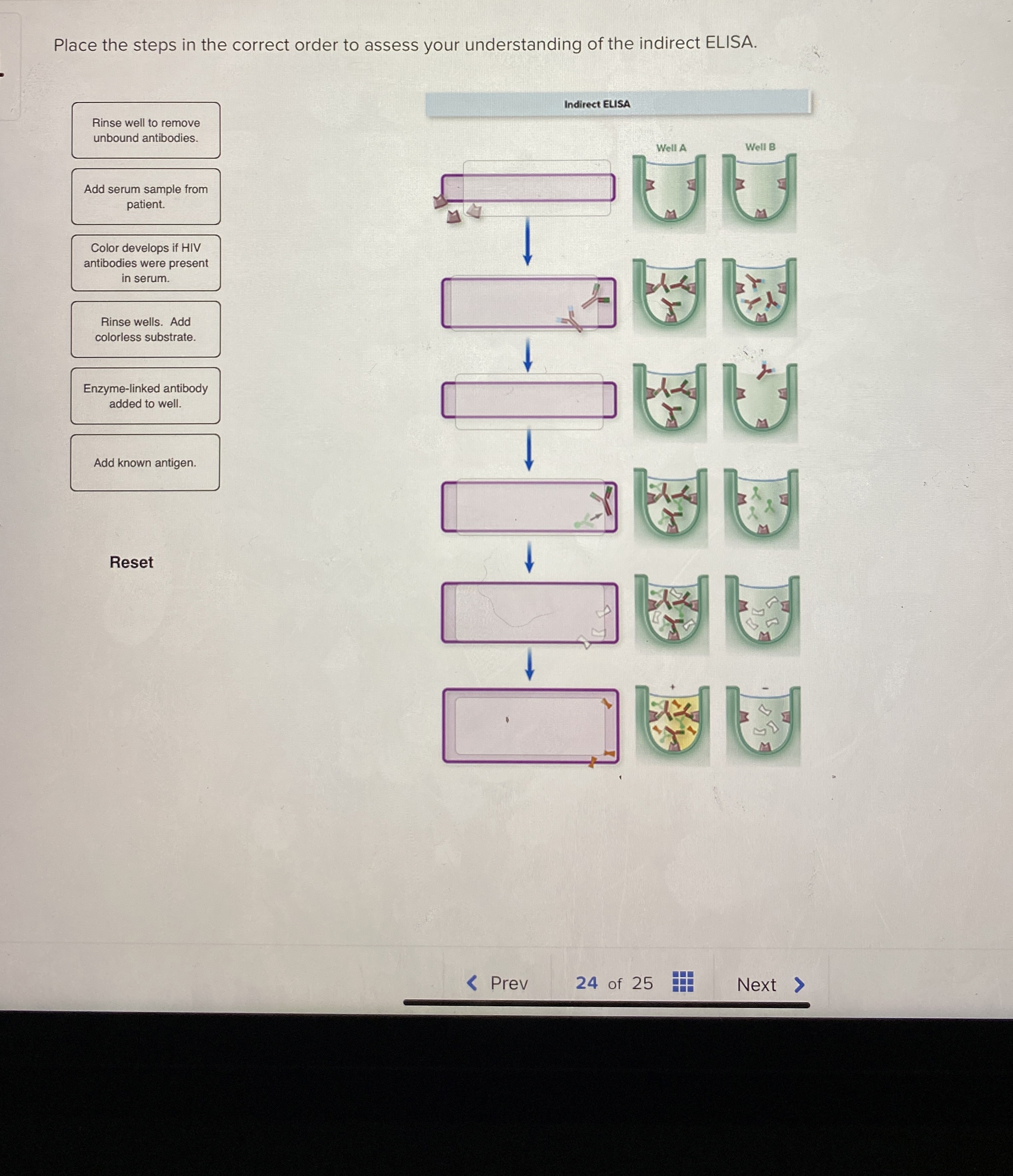 Solved Place the steps in the correct order to assess your | Chegg.com